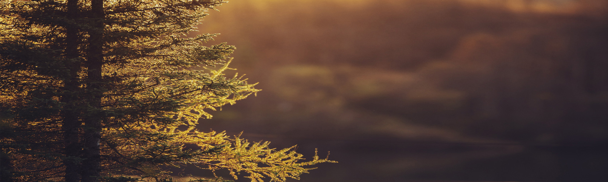 Environment Management - Iron Ore Company of Canada